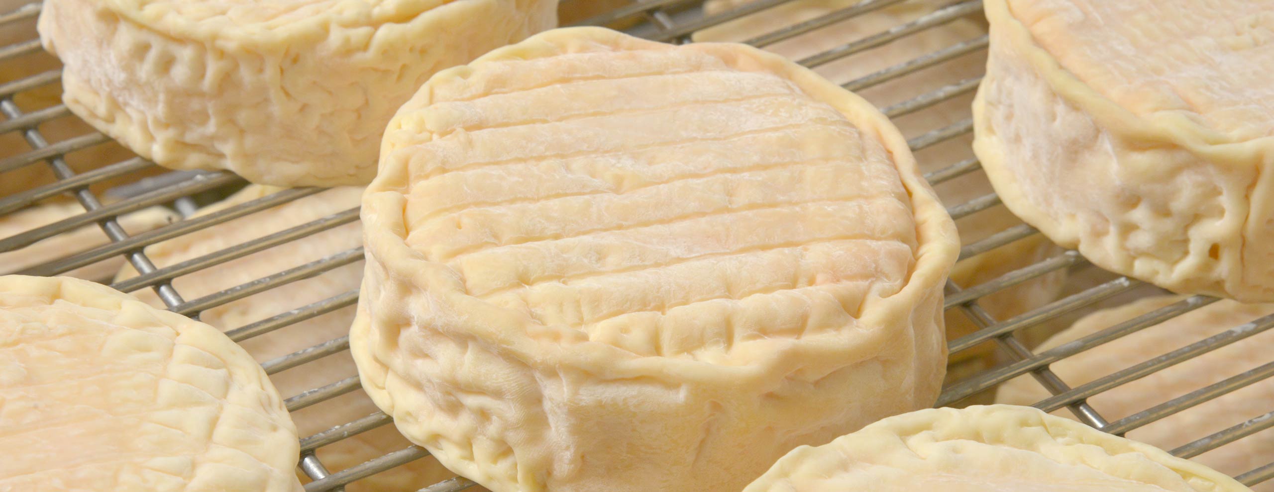 Époisses and Langres: The Specialties of Fromagerie Germain