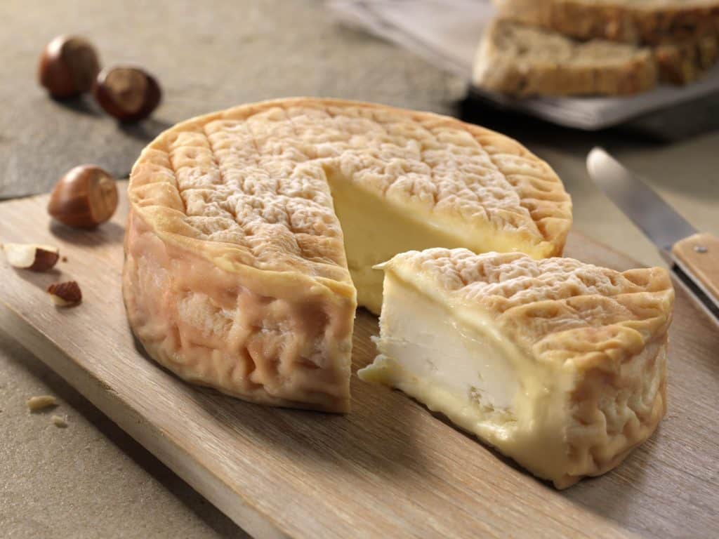 Tout savoir sur l’affinage du fromage