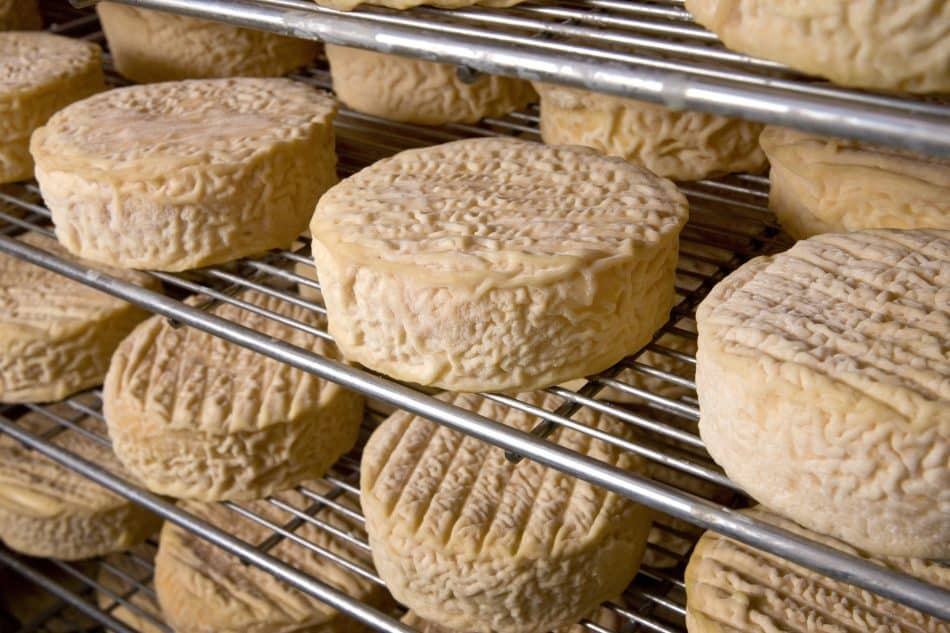 Why some cheeses are orange - The history of a cult color